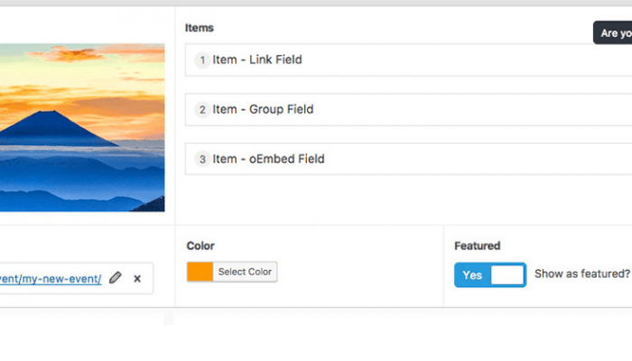 5 Best Wordpress Custom Fields Plugin 