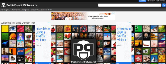 Best Royalty Copyright Free Stock Images Sources