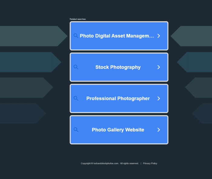 Best Royalty Copyright Free Stock Images Sources